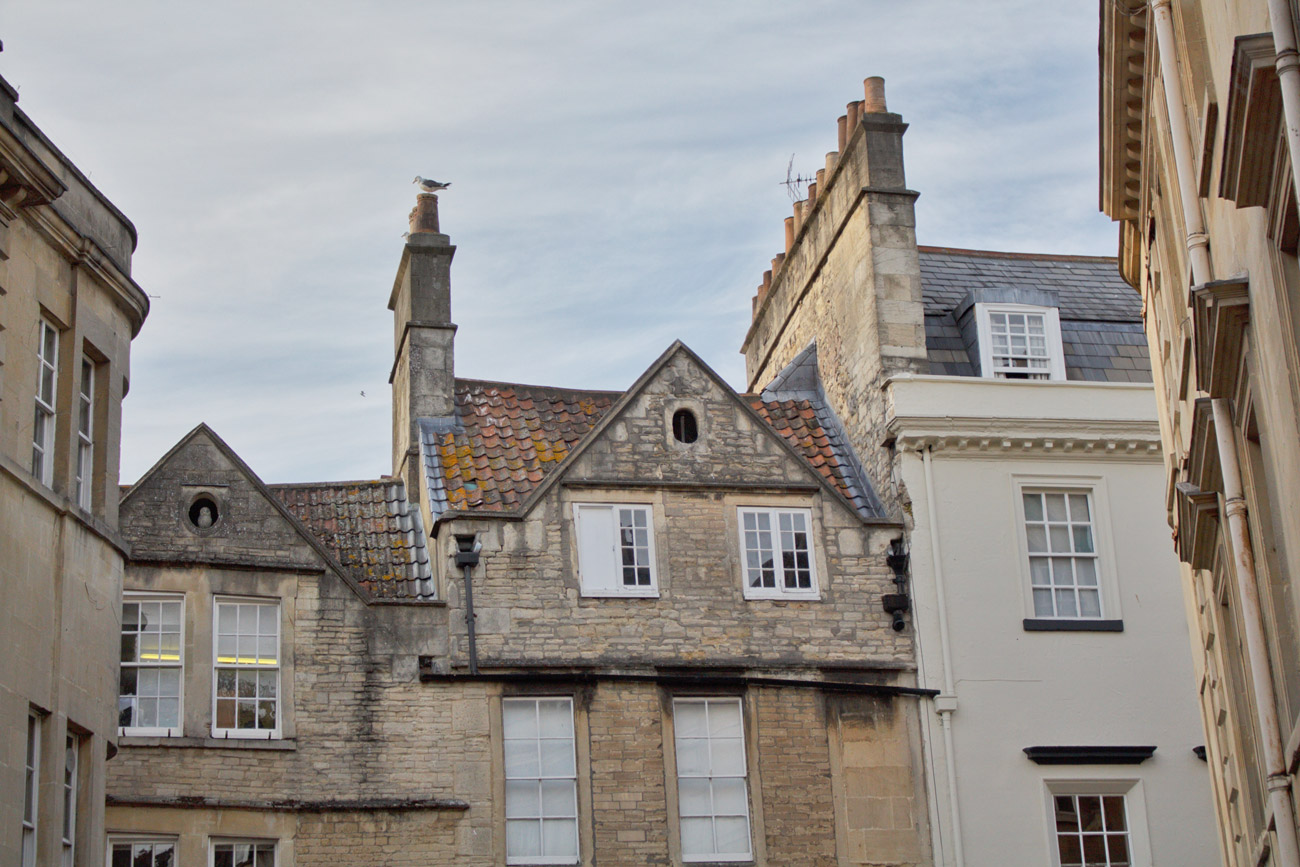 Frome Website Design - Yellow Peach | Enterprise WordPress Agency